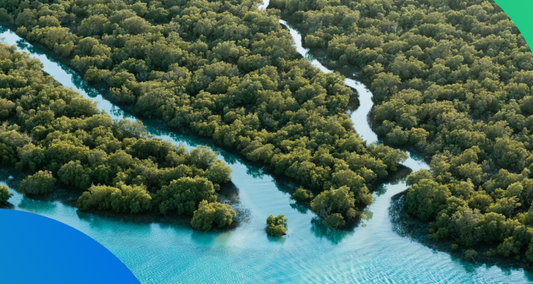 Sustainability - Tadweer