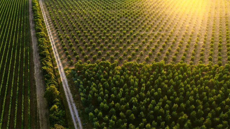 Sustainability - Tadweer