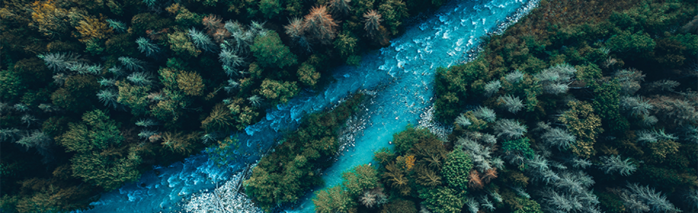 News & Updates - Tadweer