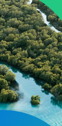 Sustainability - Tadweer